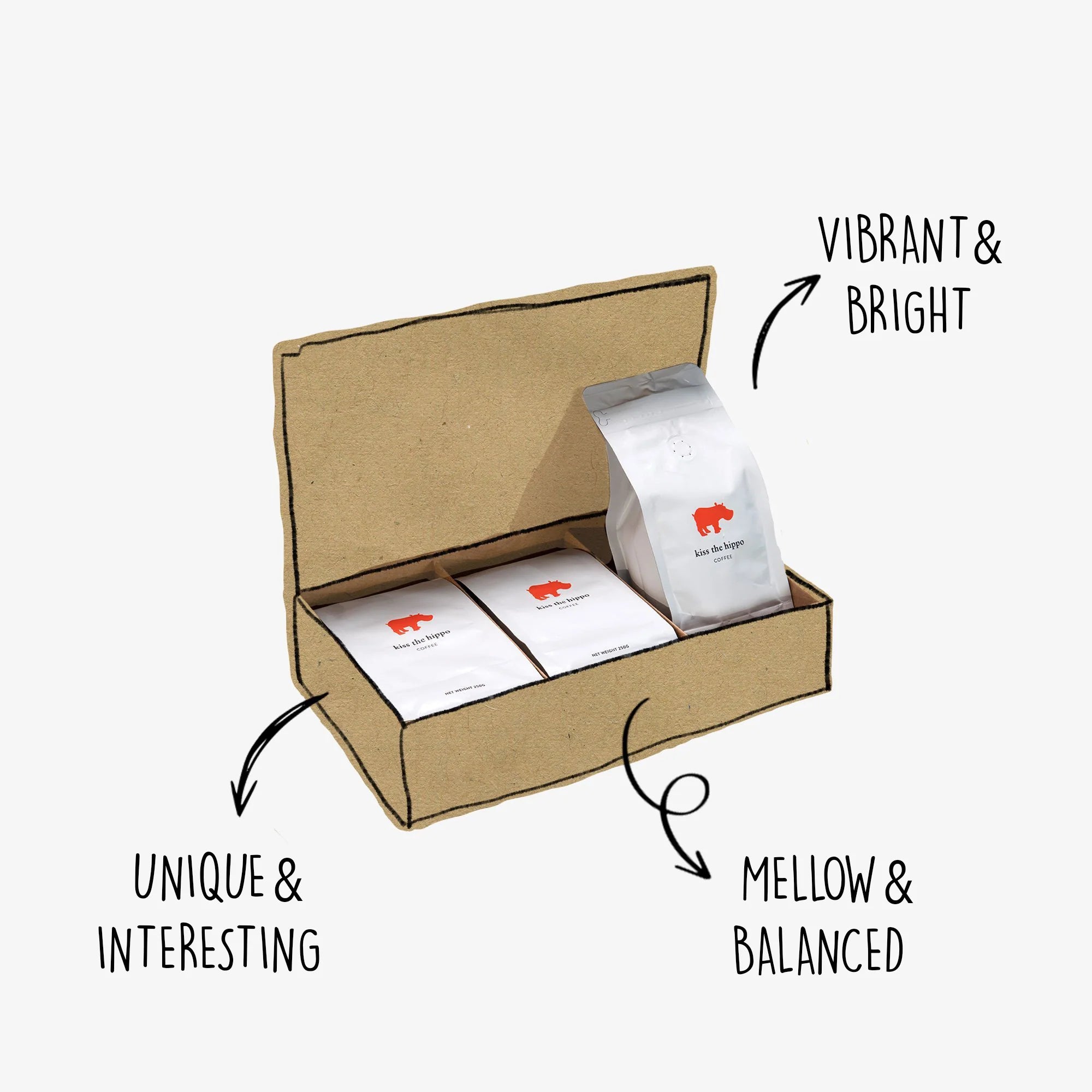 Explorer Taster Pack – Hello Coffee!